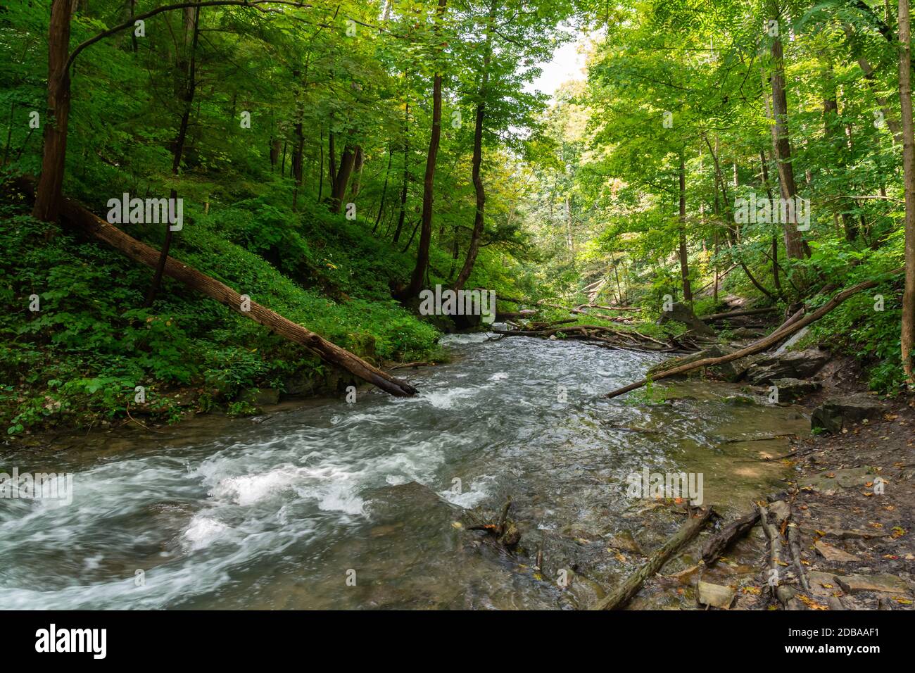 Lower Decew Conservation Area Ontario Canada Stock Photo - Alamy