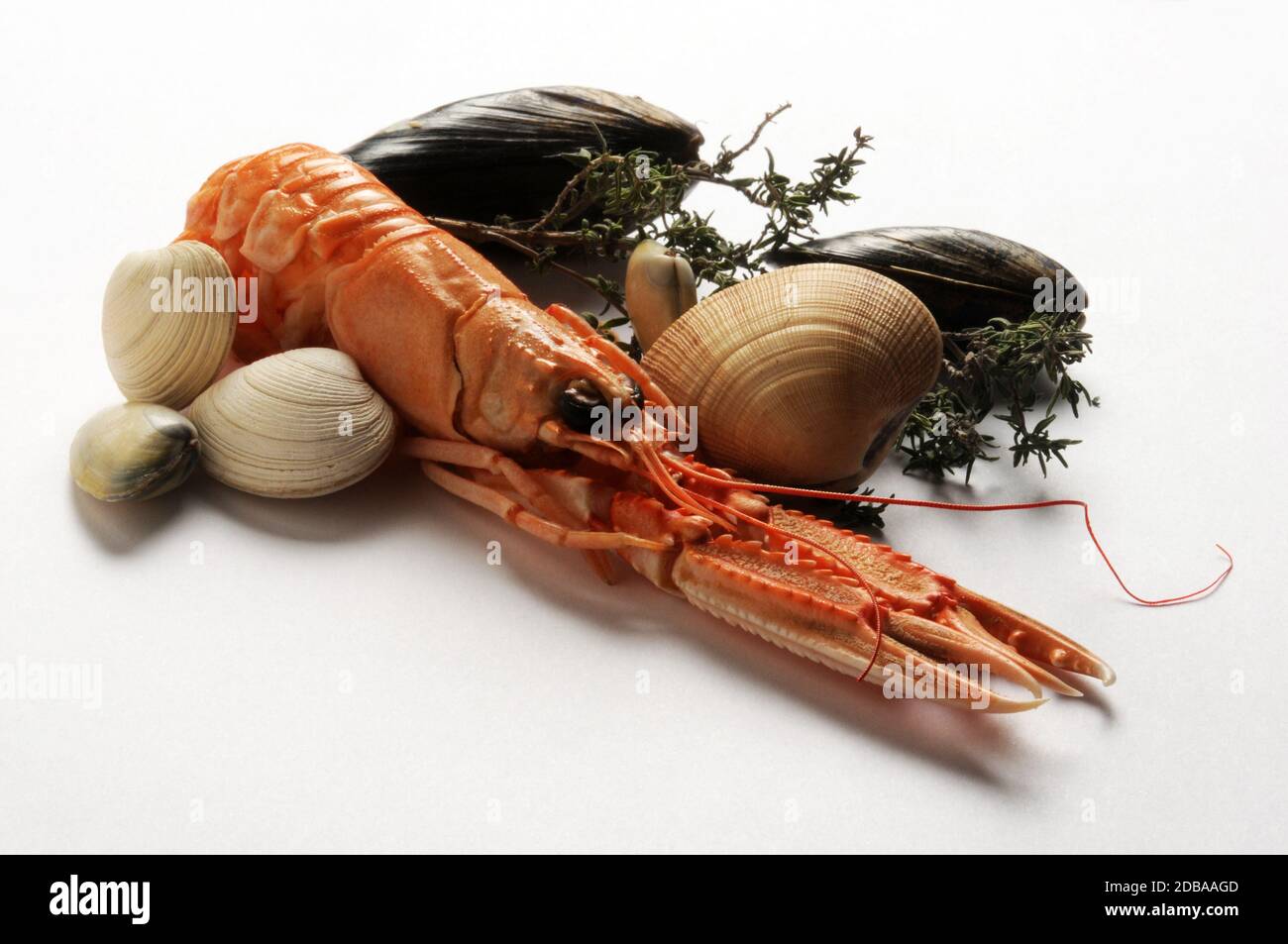 Seafood on a white background Stock Photo - Alamy