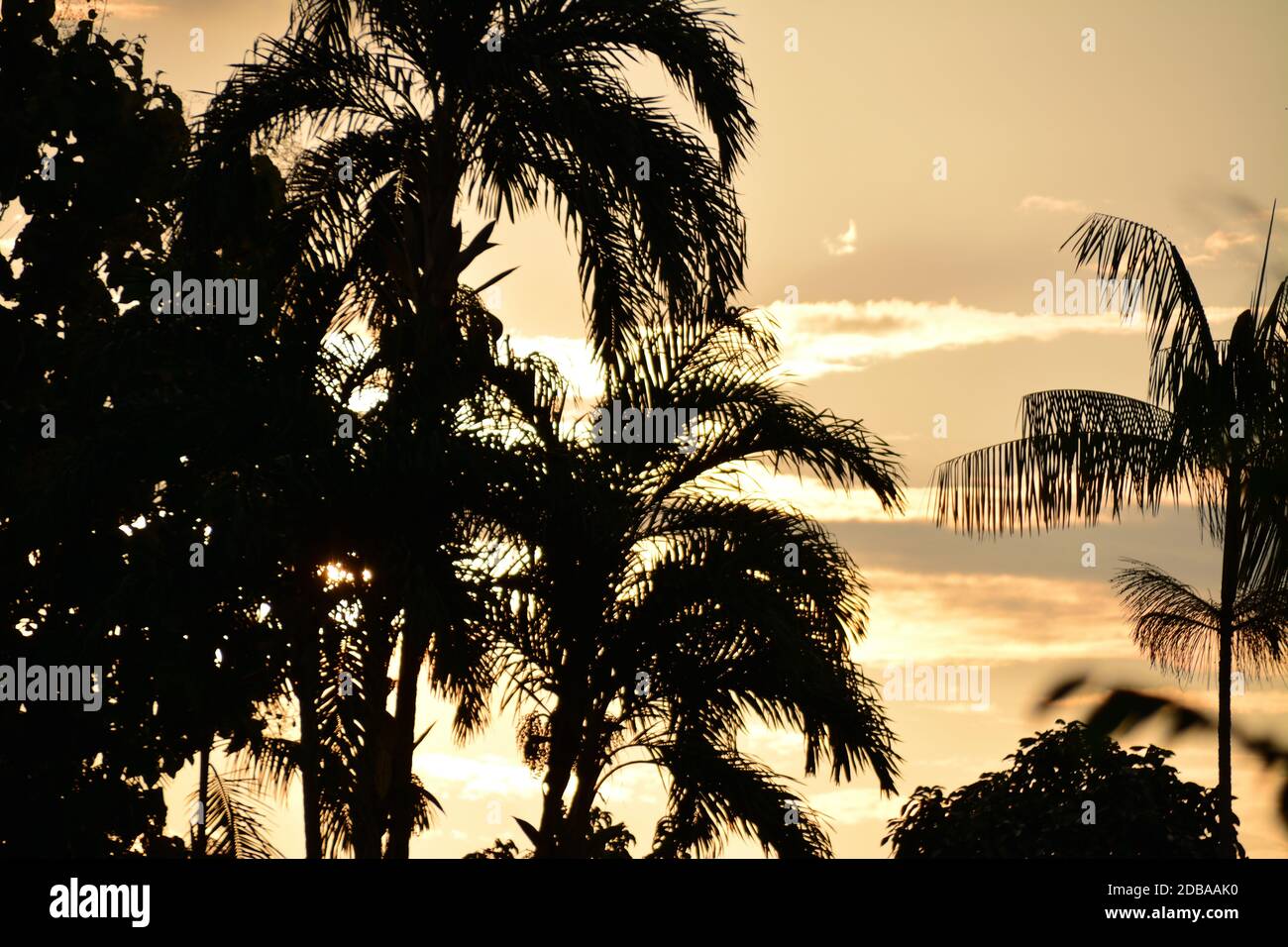 Amazon sunset hi-res stock photography and images - Alamy