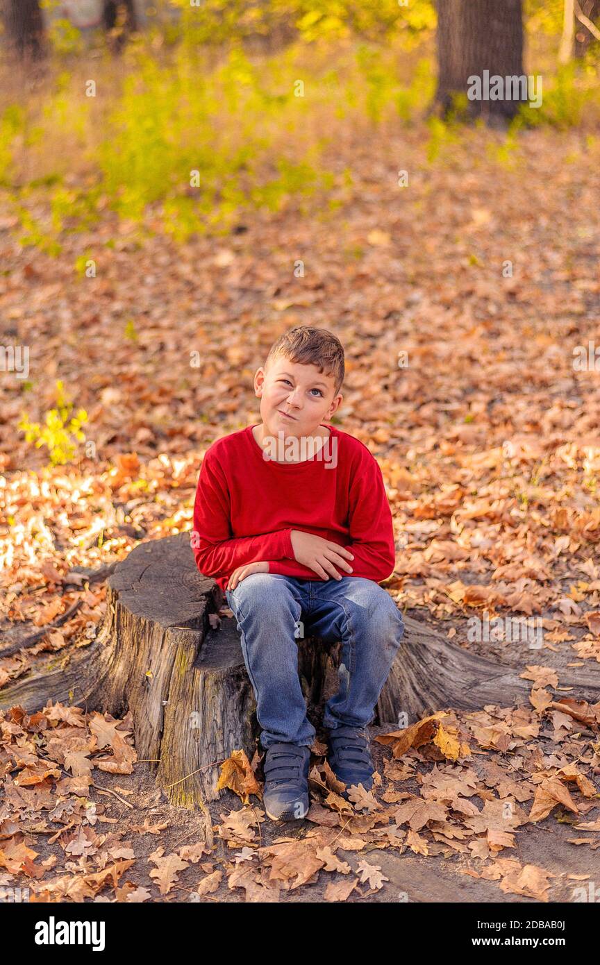 cheerful little guy in a red raglan sitting on a stump in an autumn ...