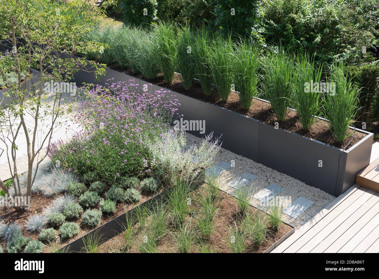 Modern garden architecture with herbs and grass Stock Photo - Alamy