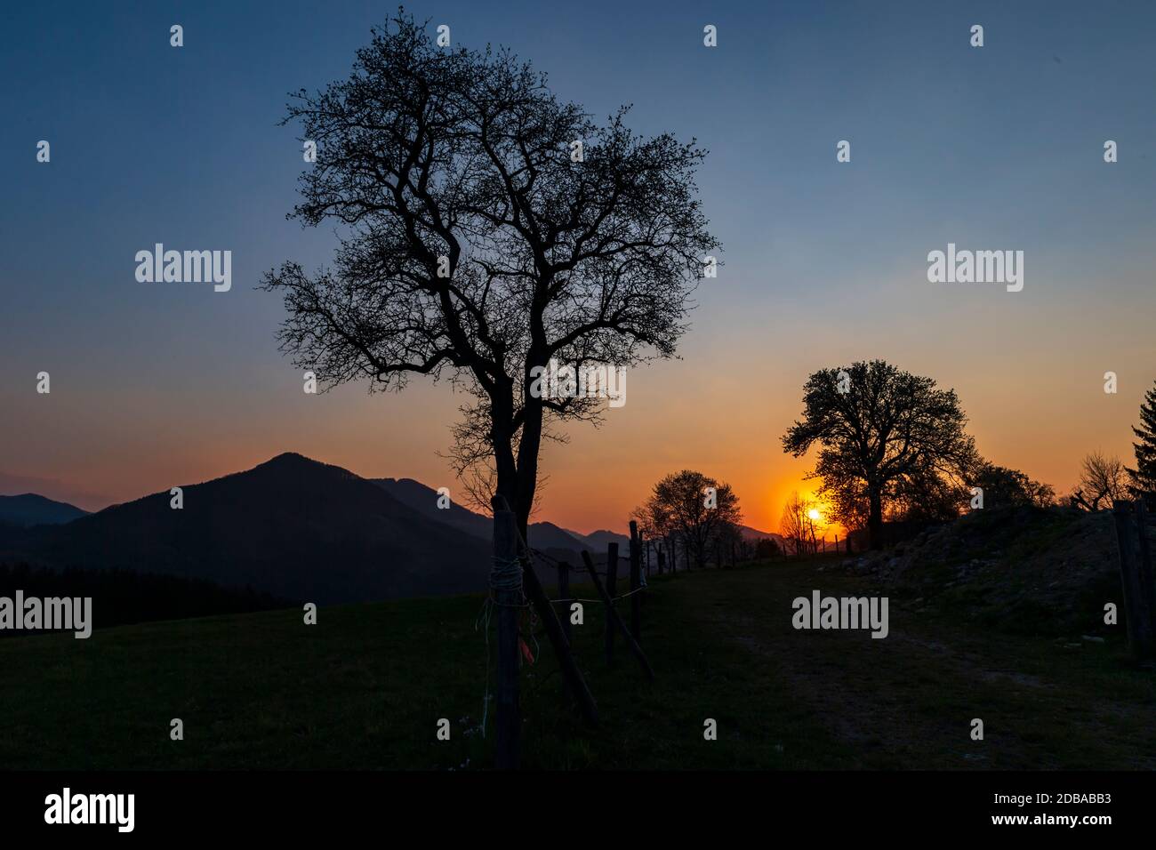 high moon at full moon in the Alps Stock Photo - Alamy