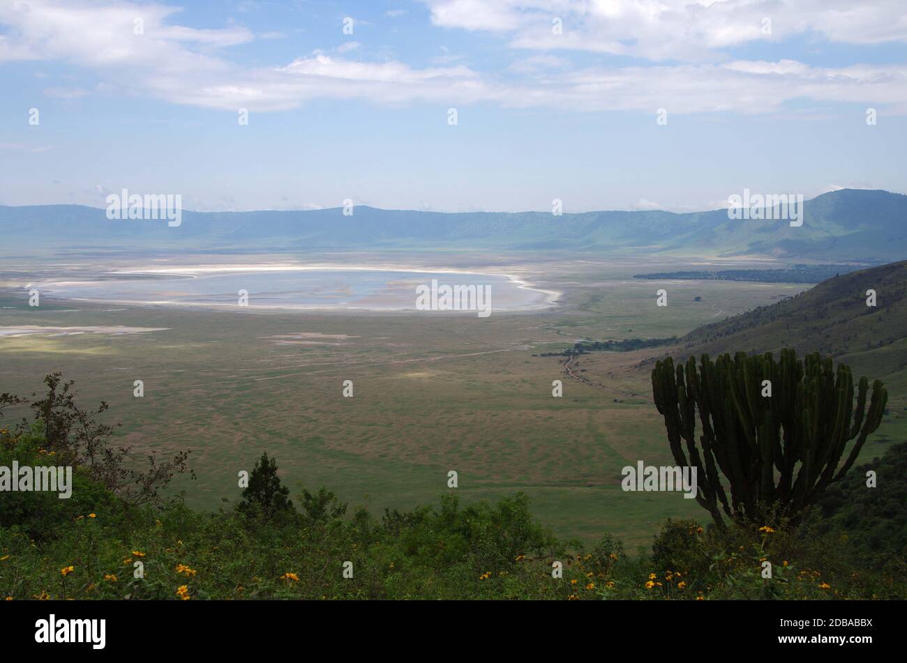 View of the Ngorongoro crater in Tanzania, East Africa Stock Photo - Alamy