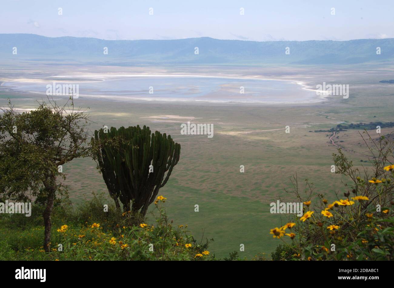 View of the Ngorongoro crater in Tanzania, East Africa Stock Photo - Alamy
