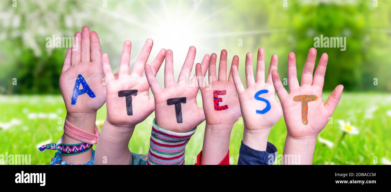 Children Hands Building Colorful German Word Attest Means Attestation ...