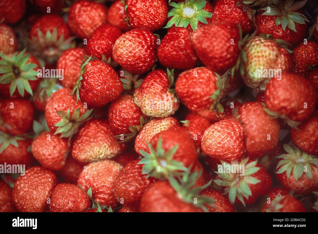 Strawberriesbackground hi-res stock photography and images - Alamy