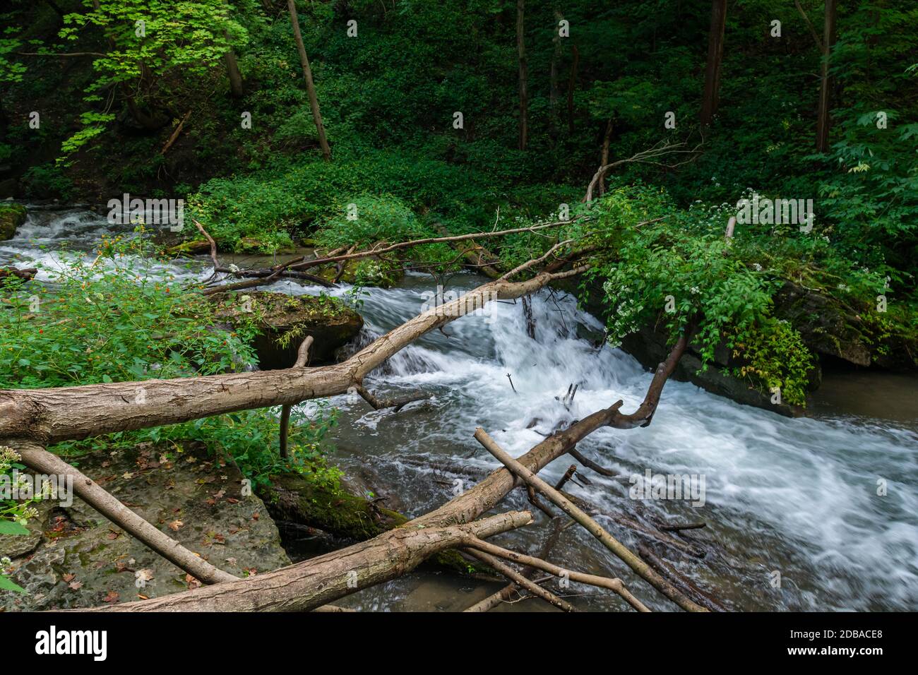Lower Decew Conservation Area Ontario Canada Stock Photo - Alamy