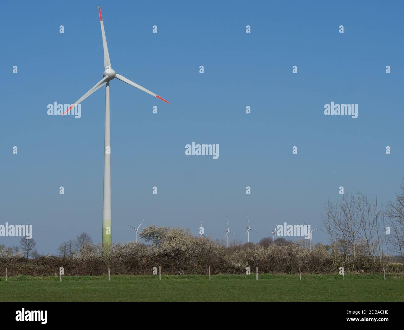 spring time in the german muensterland Stock Photo - Alamy