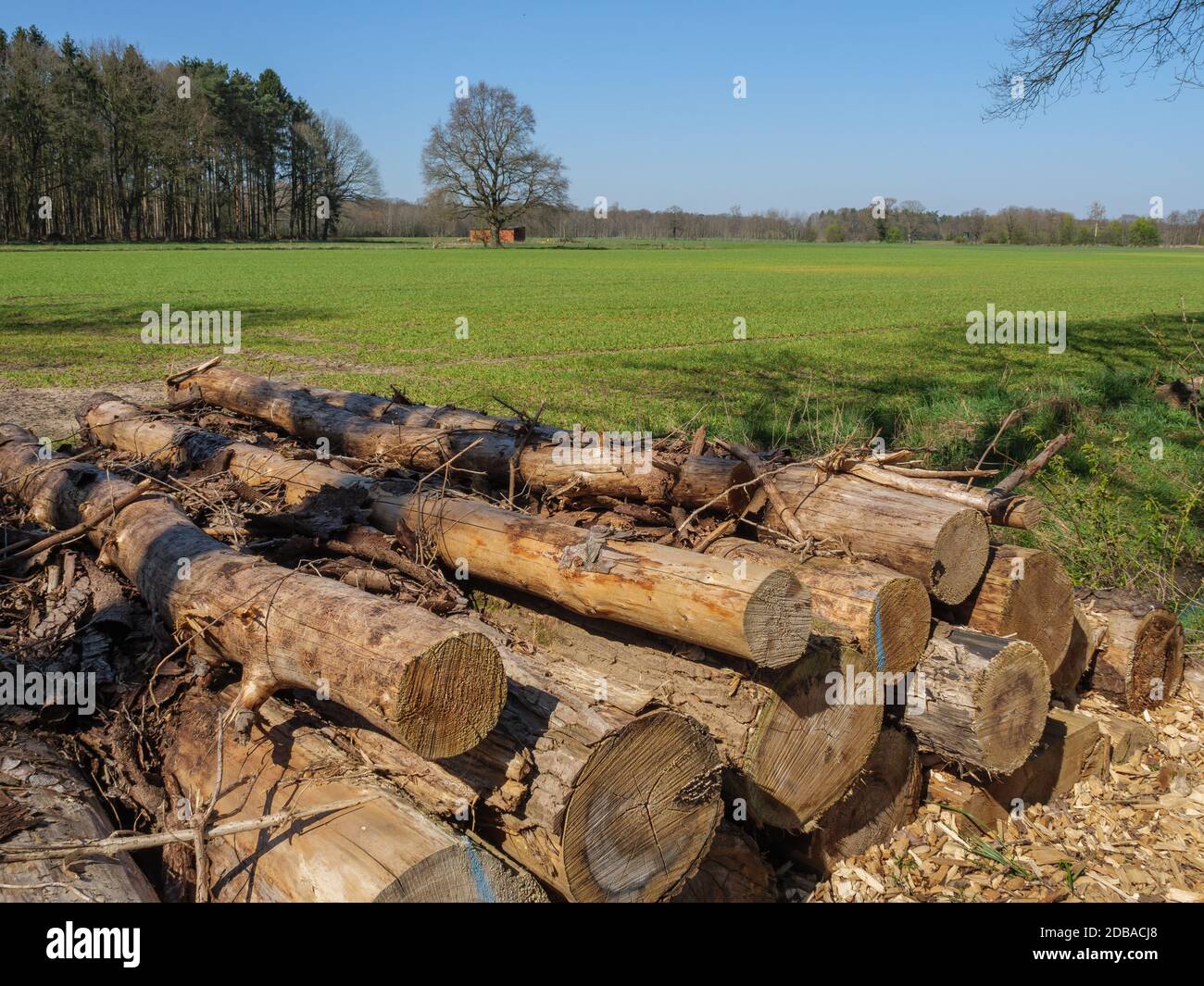 spring time in the german muensterland Stock Photo - Alamy