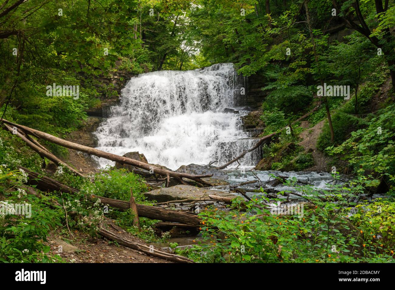 Lower Decew Waterfalls Saint Catharines Ontario Canada Stock Photo - Alamy