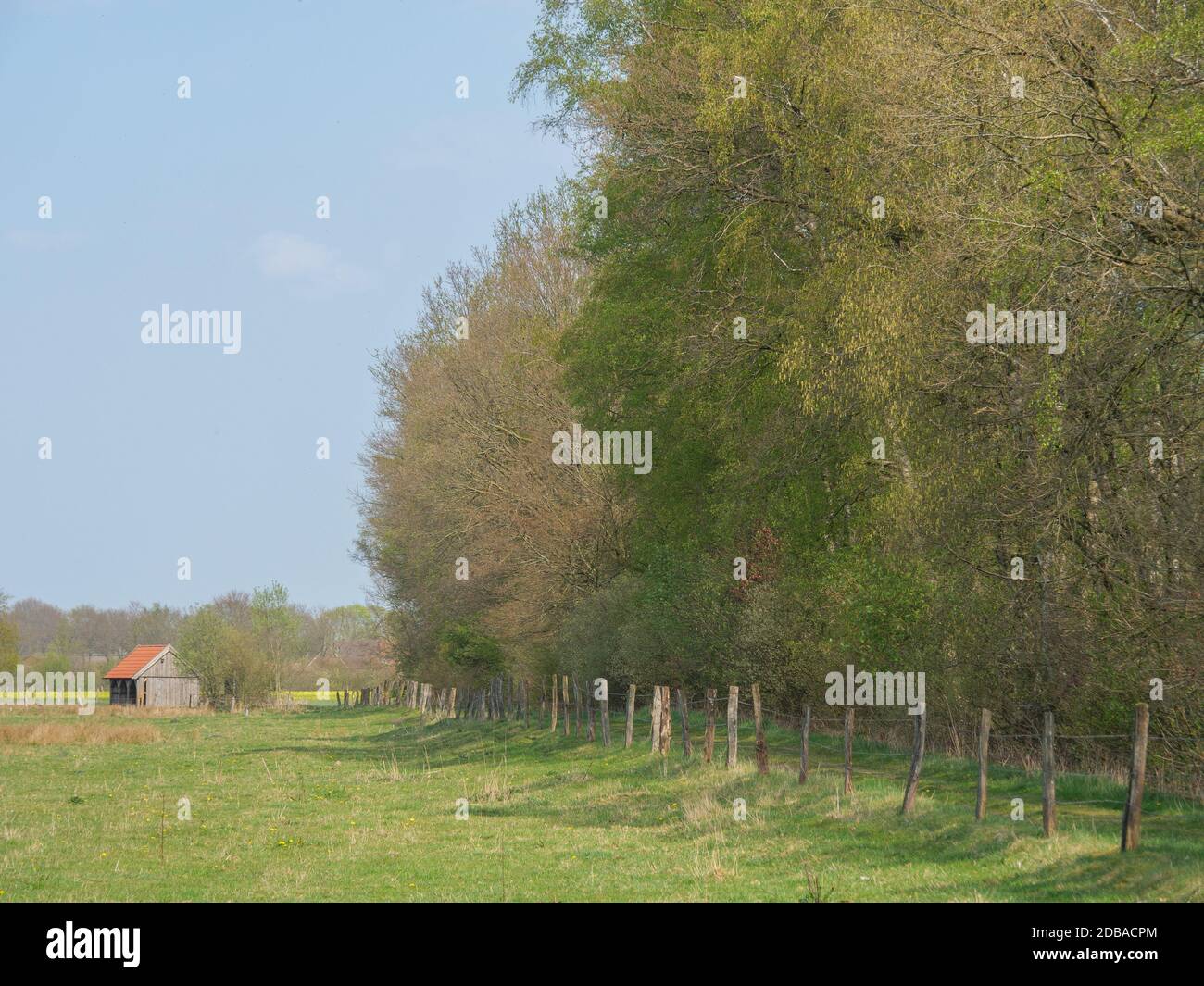 spring time in the german muensterland Stock Photo - Alamy