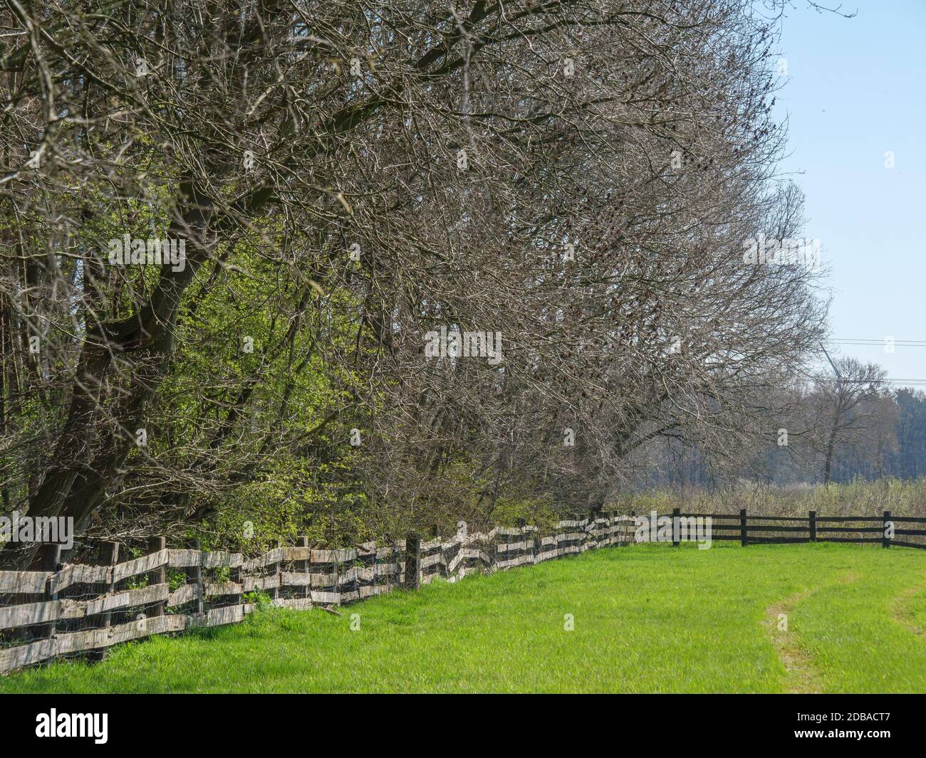 spring time in the german muensterland Stock Photo - Alamy