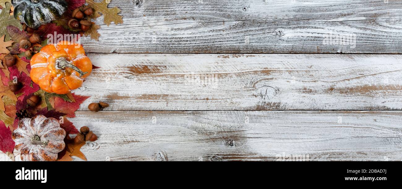 Autumn colorful leaves, acorns and gourds on white rustic wooden ...