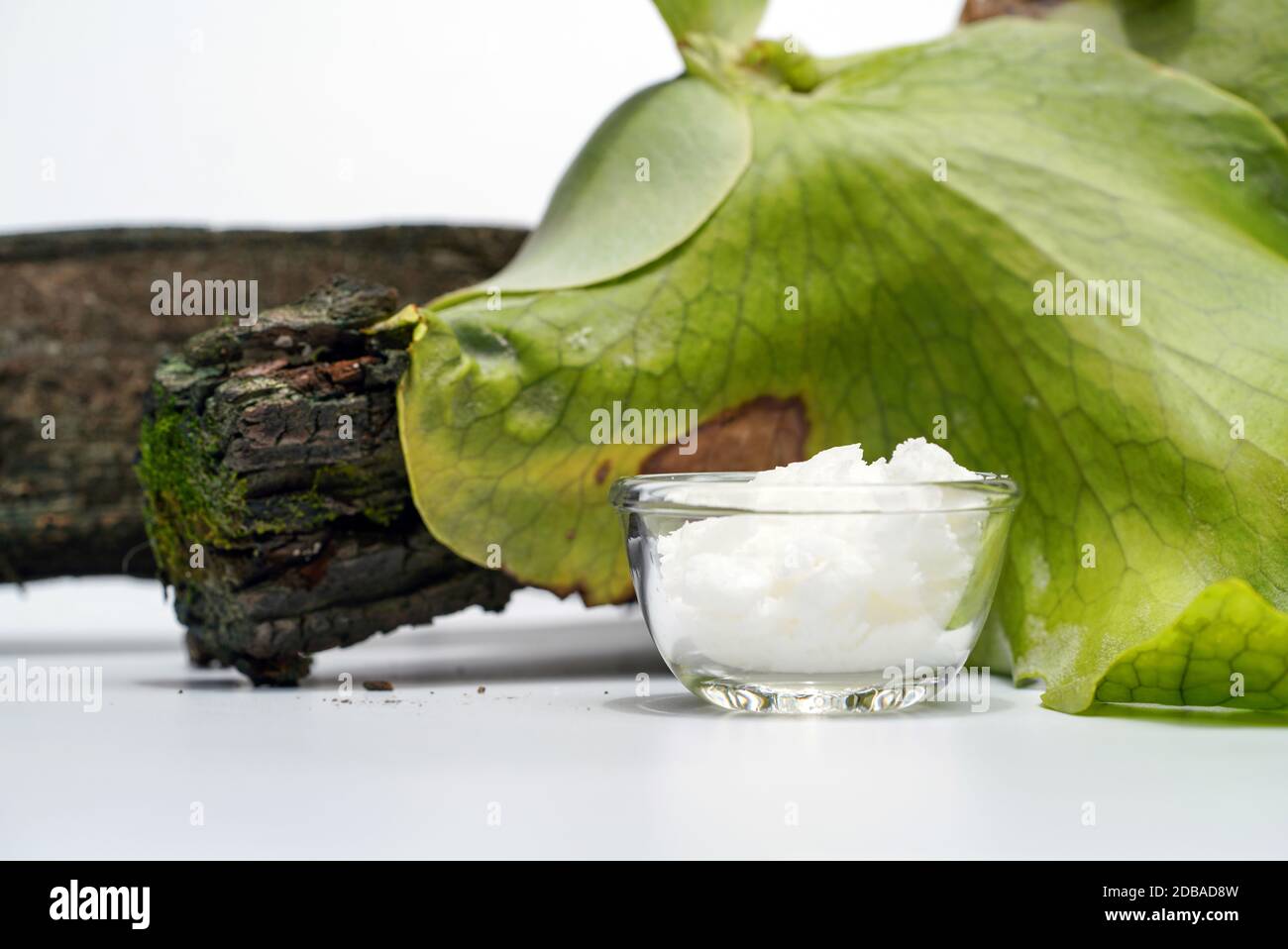 Cetyl esters wax, Chemical used in OTC products and topical ...
