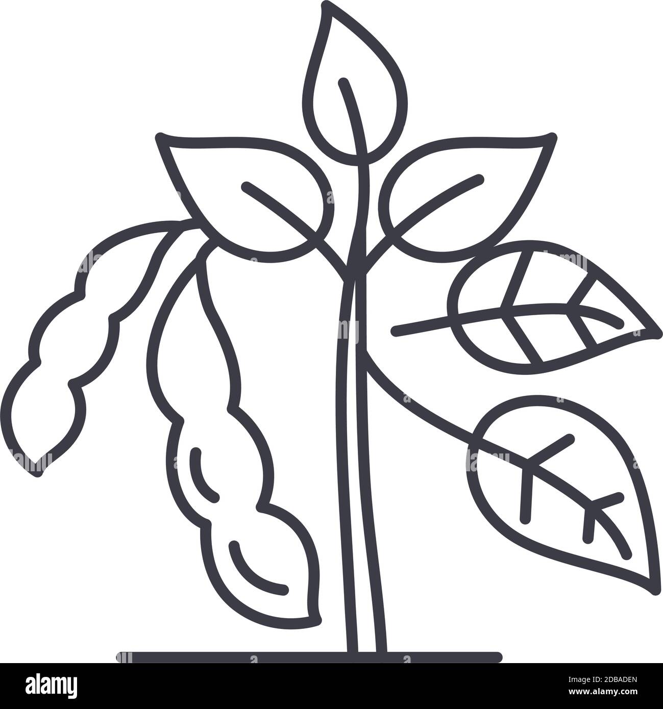 Soybean concept icon, linear isolated illustration, thin line vector ... Soybean concept icon, linear isolated illustration, thin line vector ...