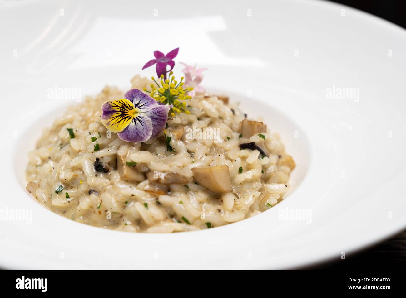 Creamy cheese risotto with mushroom and truffle oil decorate with ...