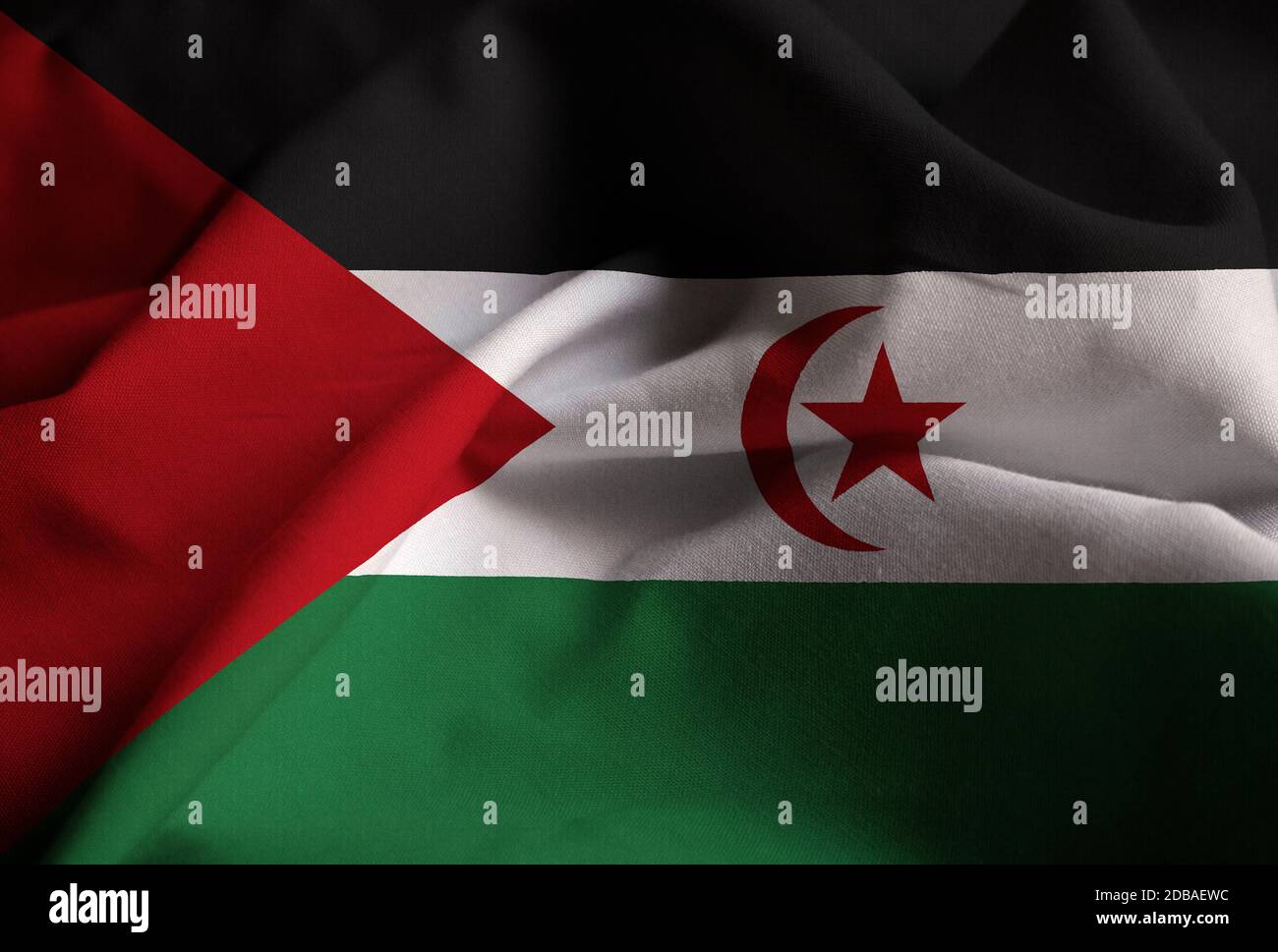 Sahrawi arab democratic republic flag map hi-res stock photography and ...