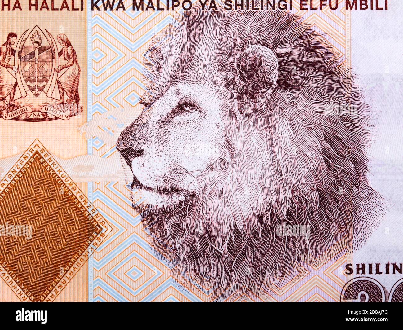 Lion a portrait from Tanzanian money Stock Photo - Alamy