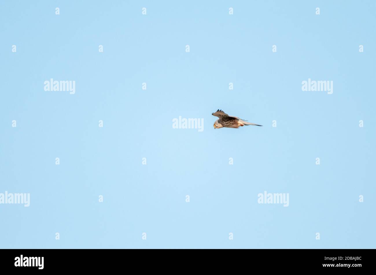 Cliff marsh hi-res stock photography and images - Alamy