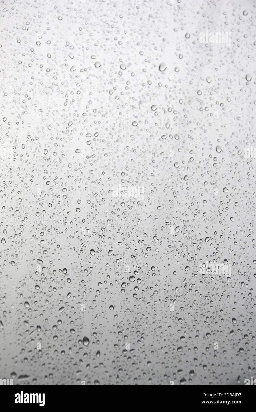 Drops of rain on the inclined window (glass). Shallow DOF Stock Photo ...