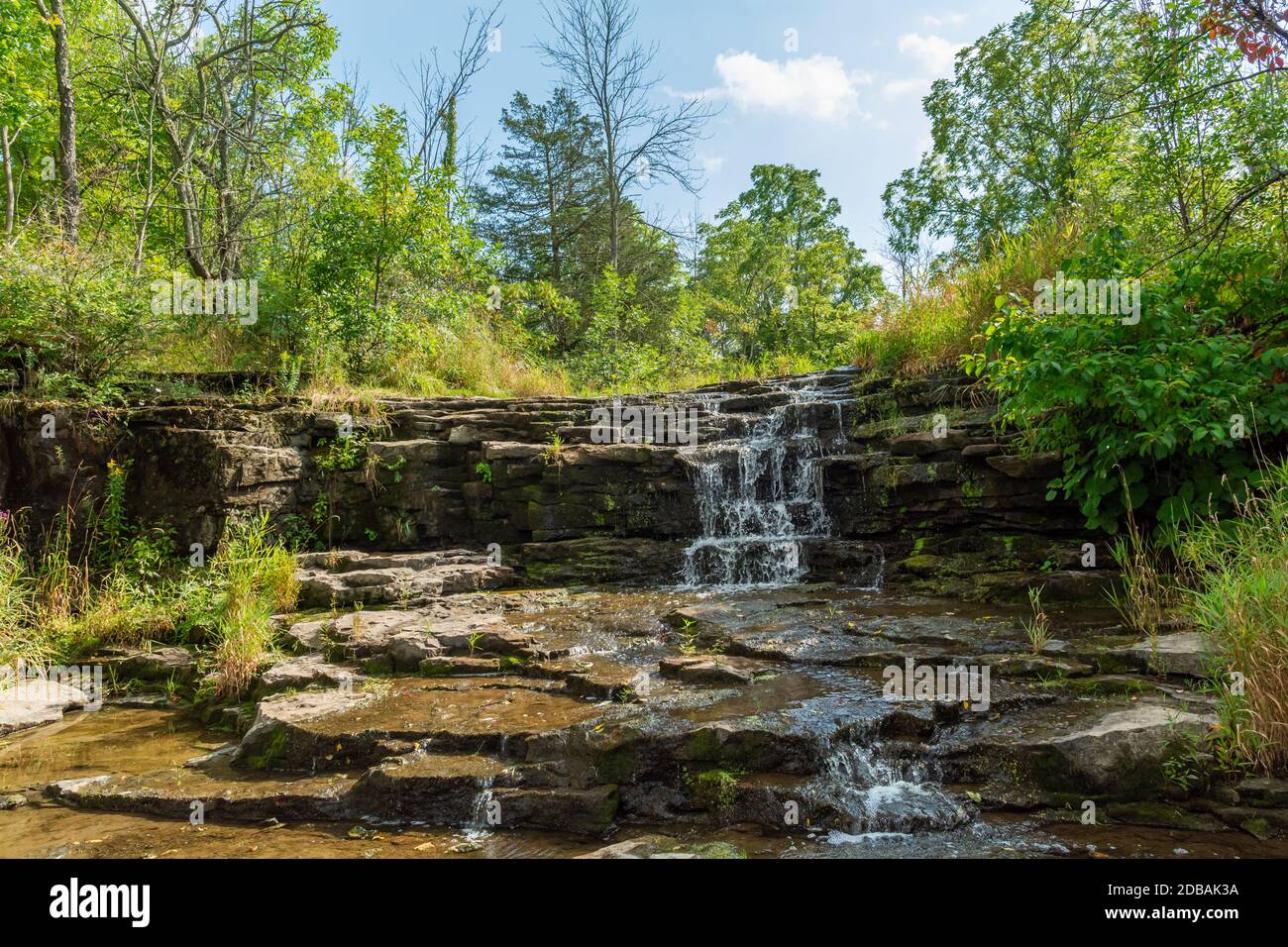 Rockway Conservation Area Stock Photo - Alamy