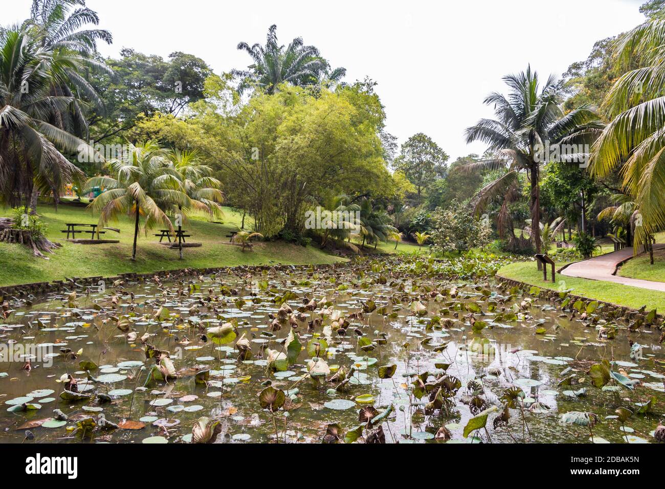 Perdana national park hi-res stock photography and images - Alamy