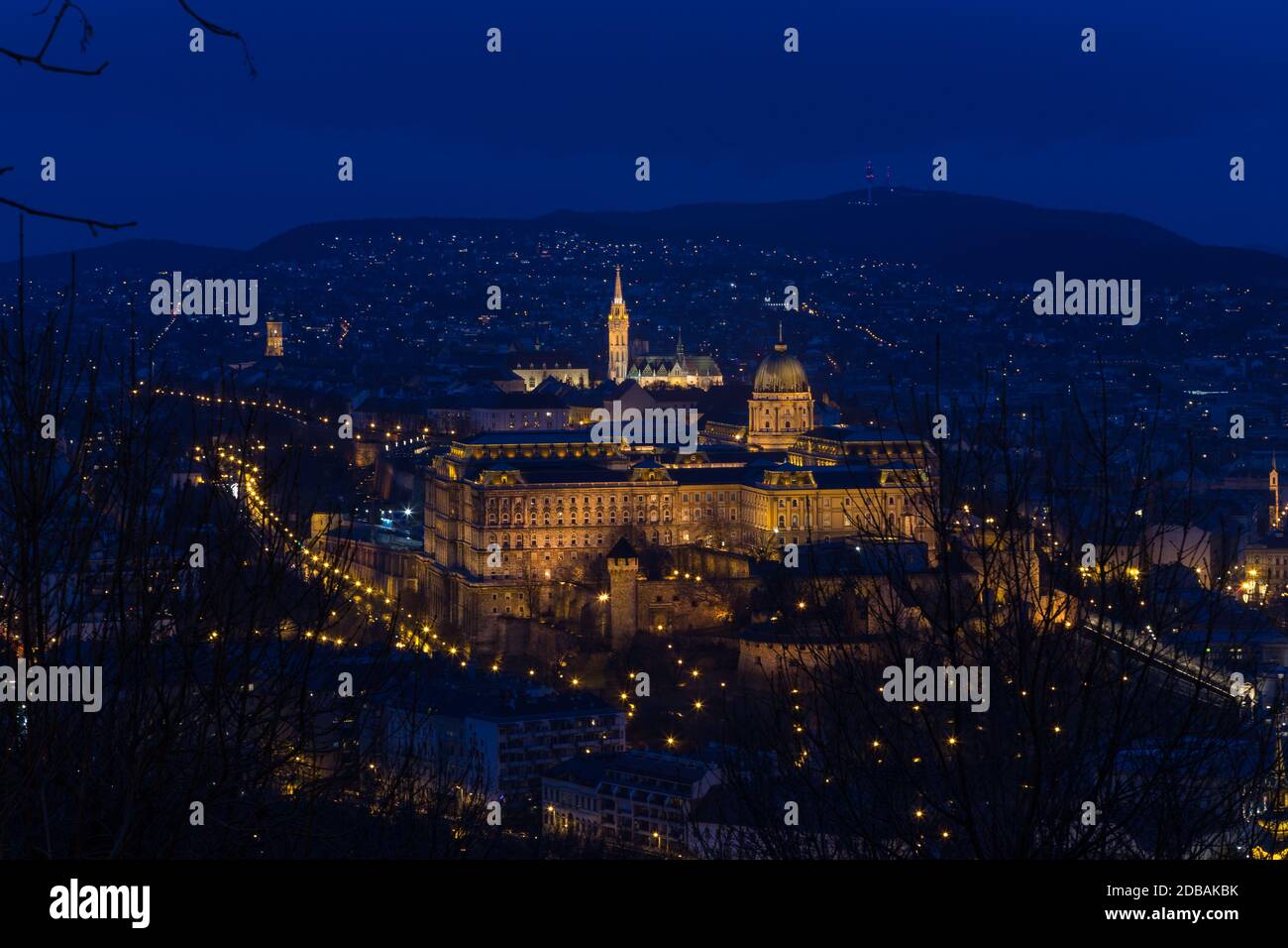 Buda Castle Hungary Budapest at night Stock Photo - Alamy