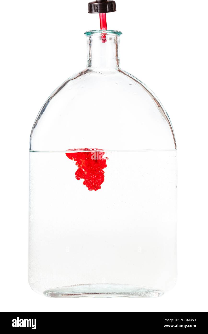 dropper drips red ink in water in glass flask isolated on white ...
