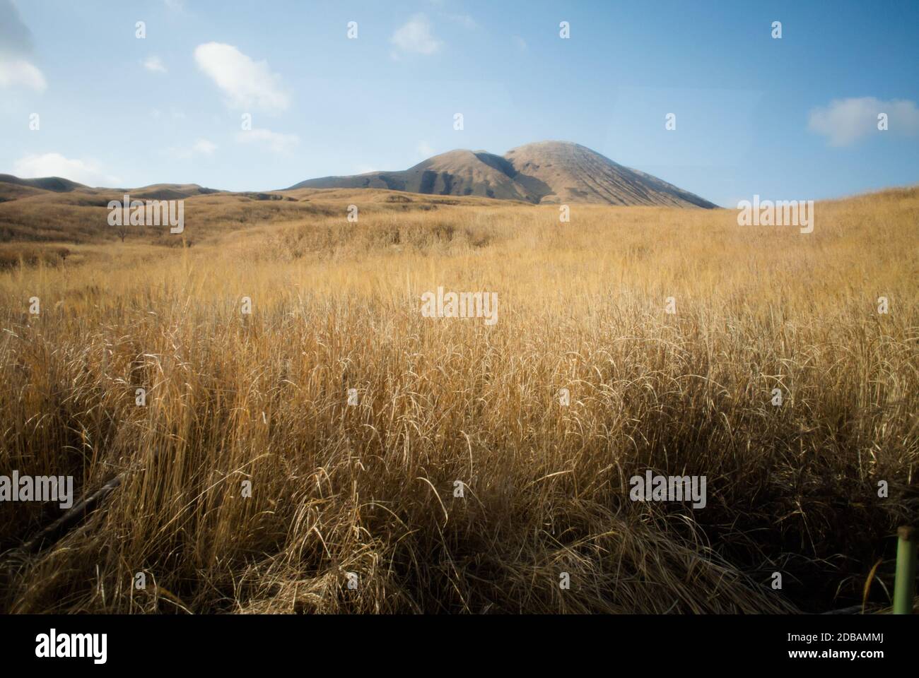 Mount Aso and Kusasenri in winter. covered by golden yellow grassland - Kumamoto, Japan Stock ...