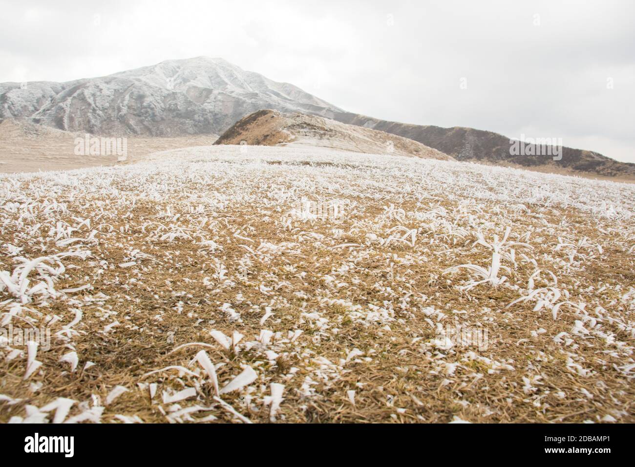 Mount Aso and Kusasenri in winter. covered by golden yellow grassland - Kumamoto, Japan Stock ...