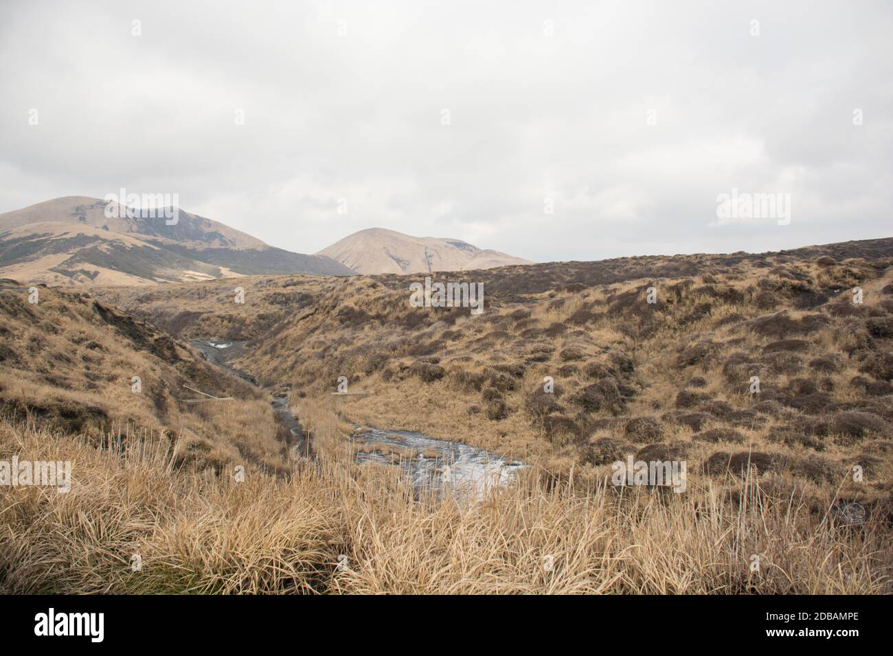Mount Aso and Kusasenri in winter. covered by golden yellow grassland - Kumamoto, Japan Stock ...