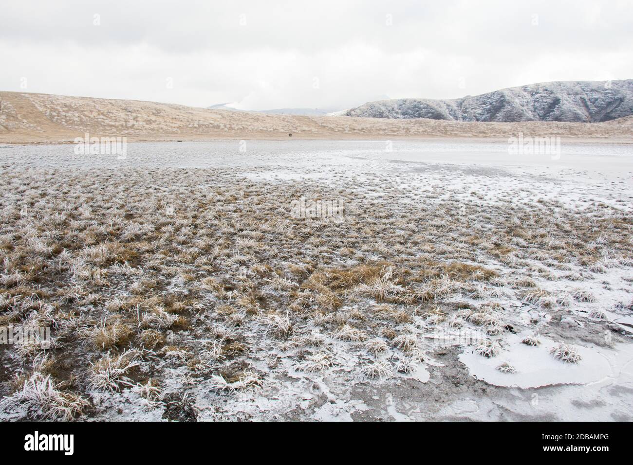 Mount Aso and Kusasenri in winter. covered by golden yellow grassland ...