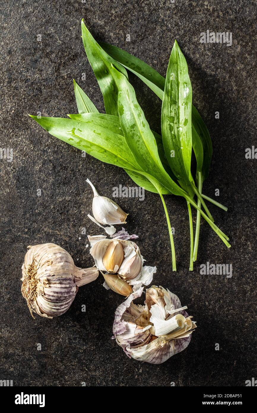 Green wild garlic leaves. and garlic bulb. Ramsons leaves on black ...