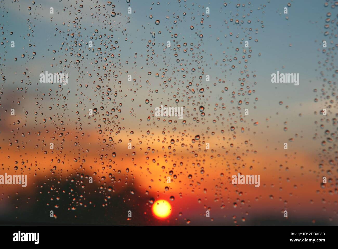 Drops of rain on the inclined window (glass). Shallow DOF Stock Photo ...