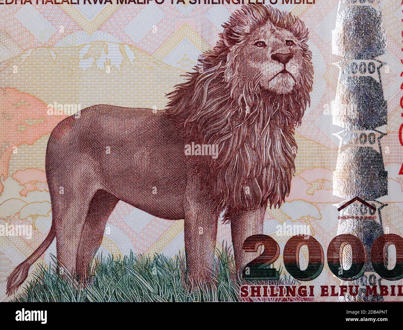 Lion a portrait from Tanzanian money Stock Photo - Alamy