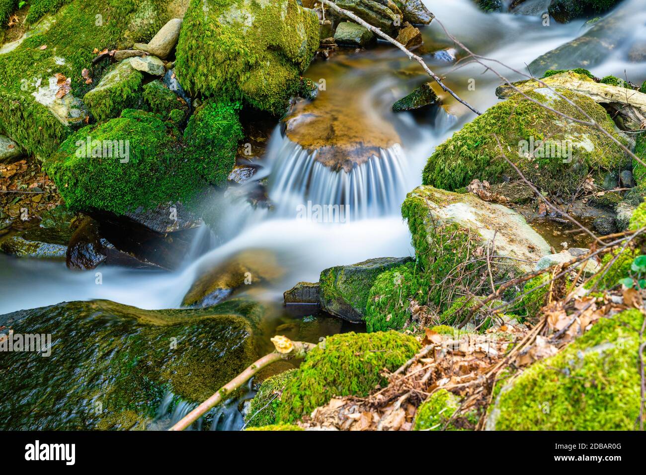View of a small cascade waterfall in the Black Forest in a beautiful ...