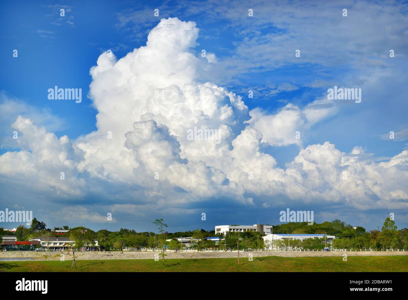 In the view from the ground below with clouds in the sky Stock Photo ...