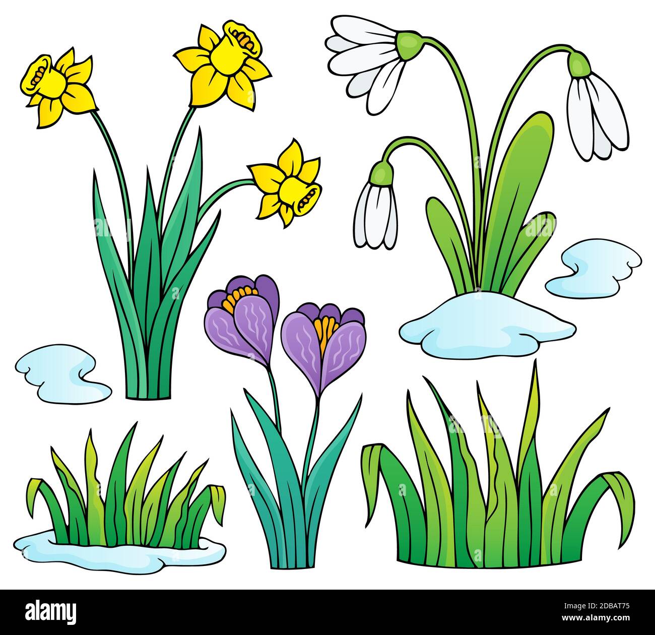 Early spring flowers theme set 1 - picture illustration Stock Photo - Alamy