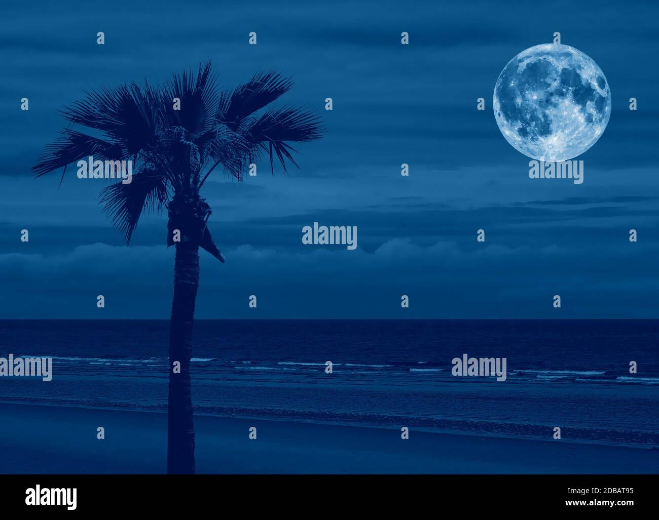 tropical beach with palm tree, blue sky and sea at night in the ...