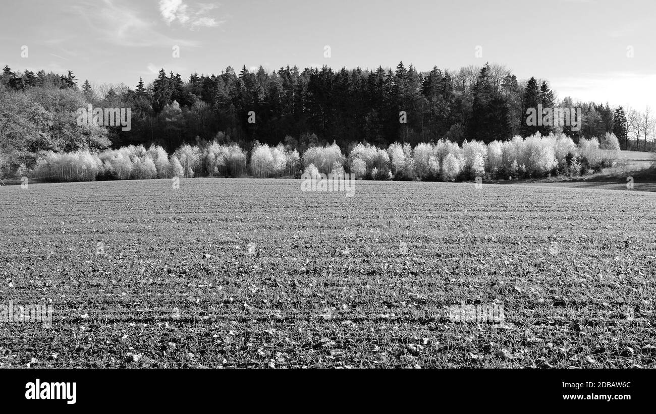 Environment field Black and White Stock Photos & Images - Alamy