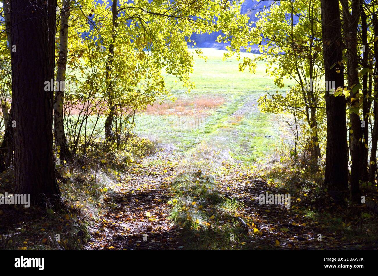 Timber boom hi-res stock photography and images - Alamy