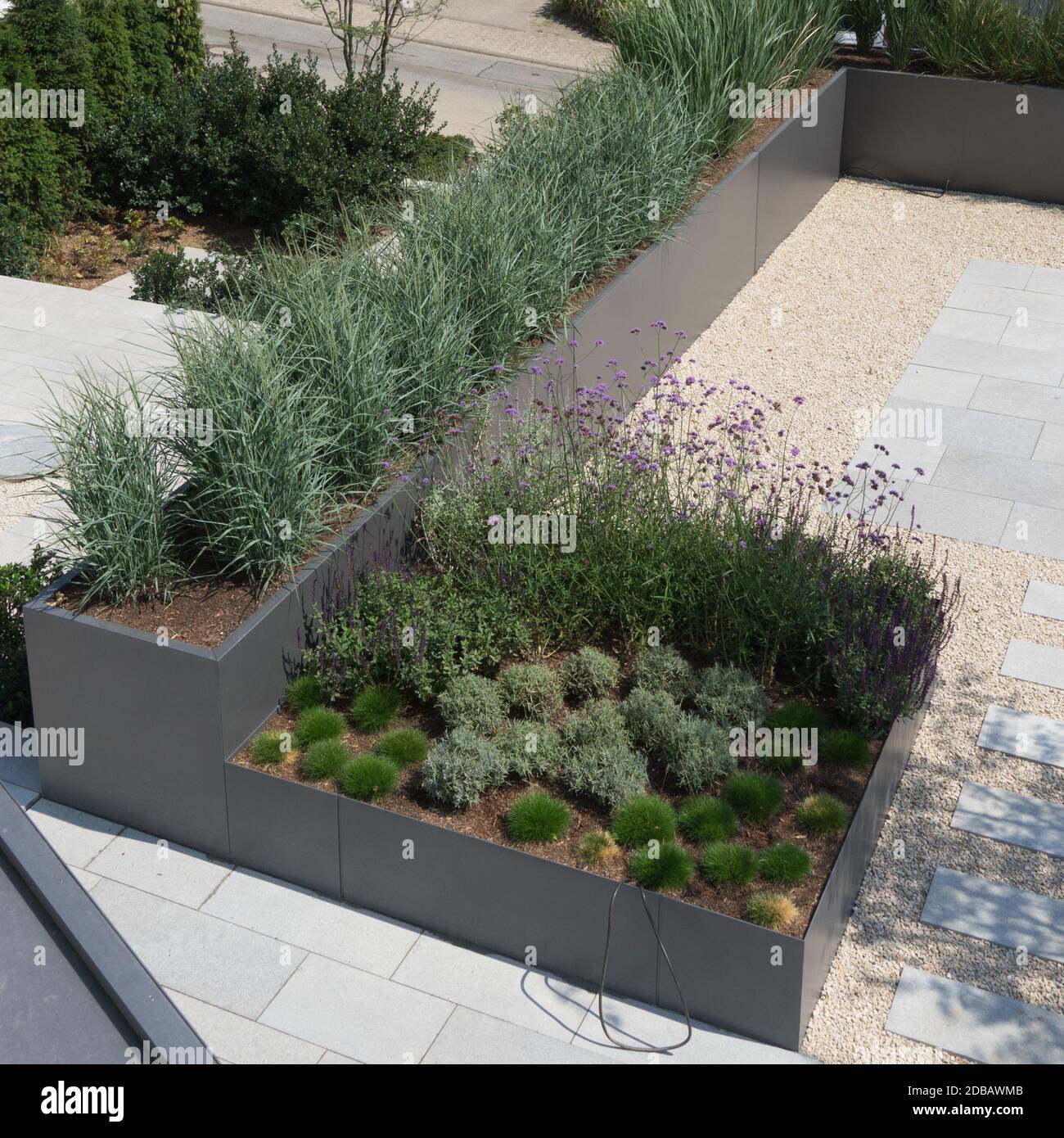 Modern garden architecture with herbs and grass Stock Photo - Alamy