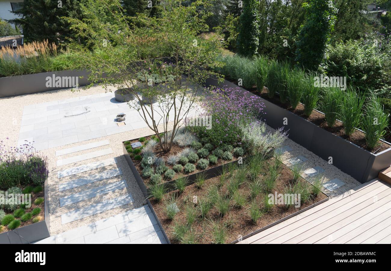 Modern garden architecture with herbs and grass Stock Photo - Alamy