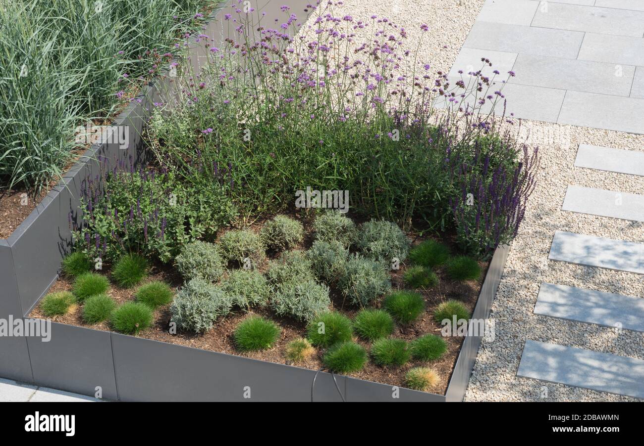 Modern garden architecture with herbs and grass Stock Photo - Alamy