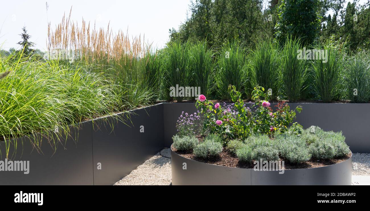 Modern garden architecture with herbs and grass Stock Photo - Alamy