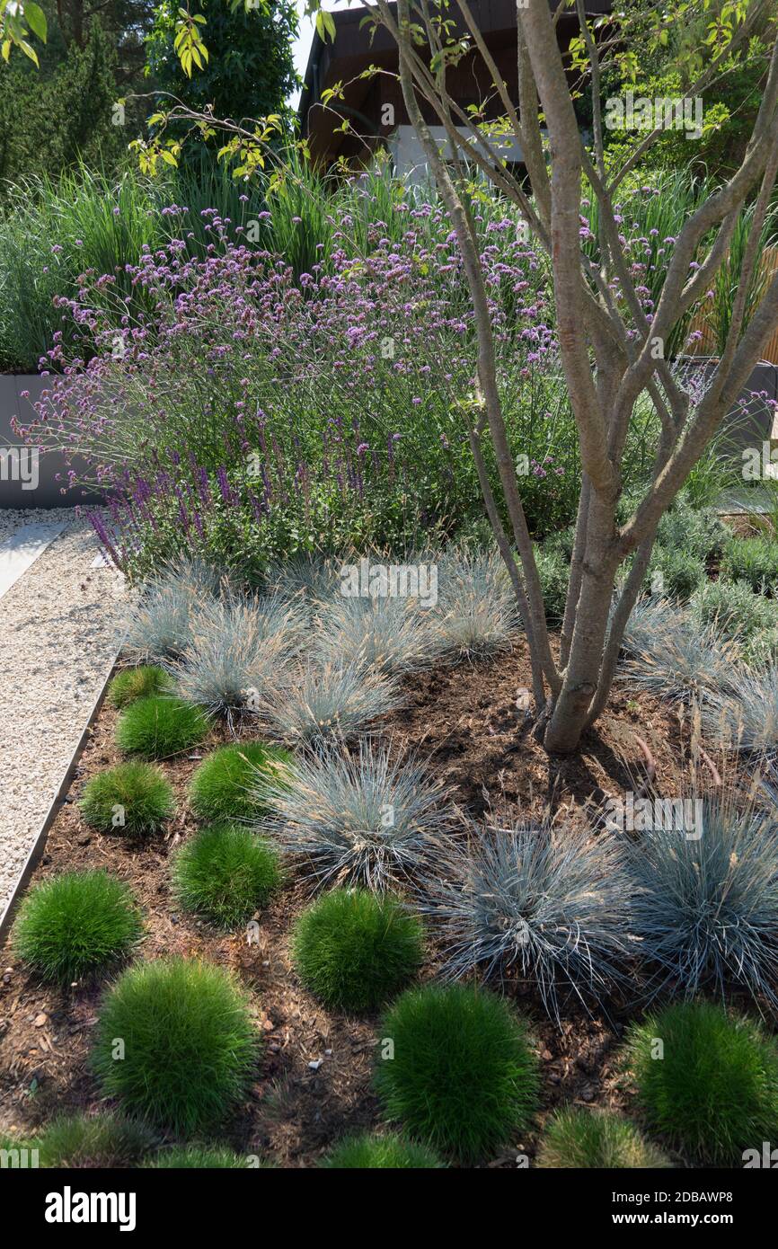 Modern garden architecture with herbs and grass Stock Photo - Alamy