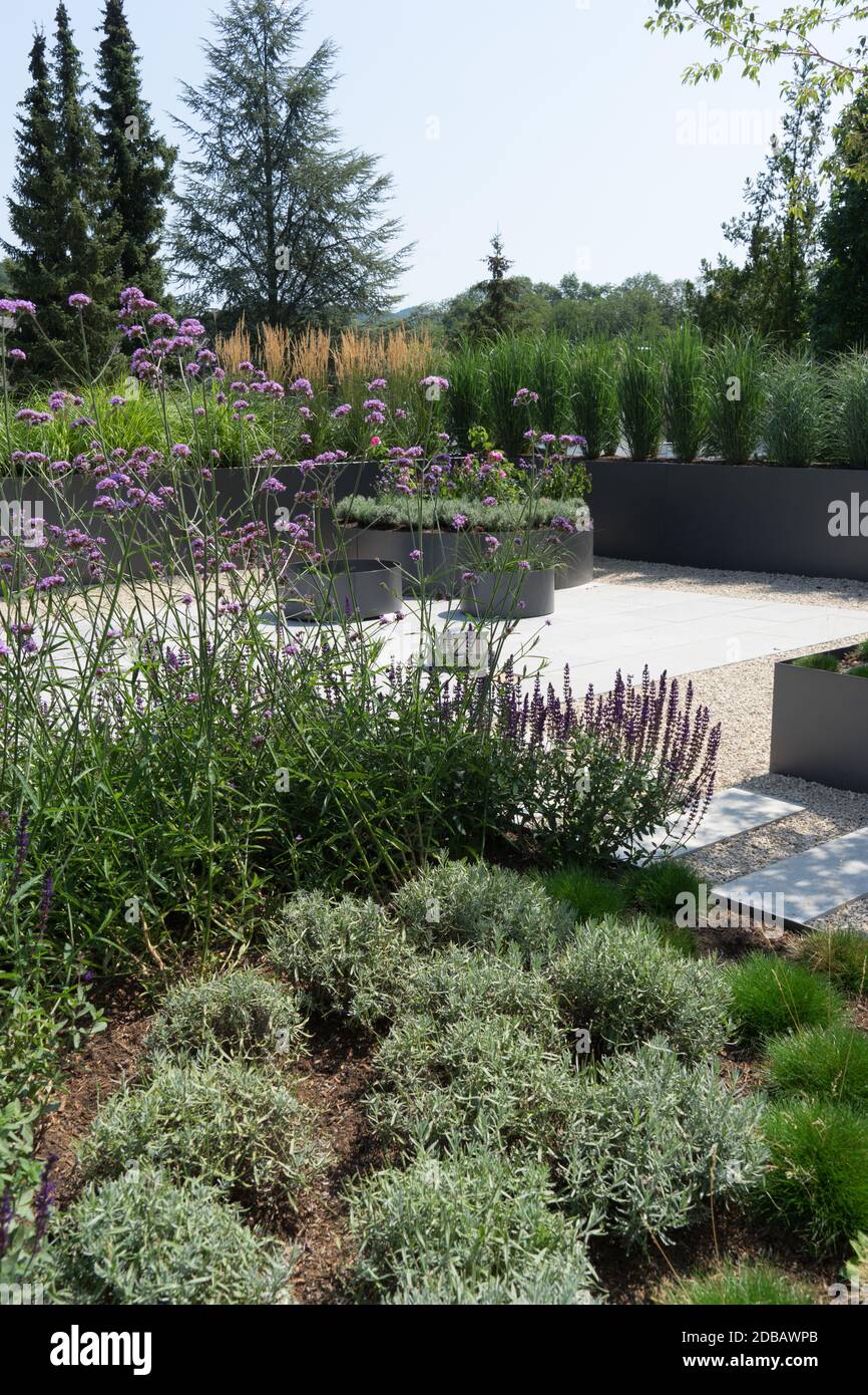 Modern garden architecture with herbs and grass Stock Photo - Alamy