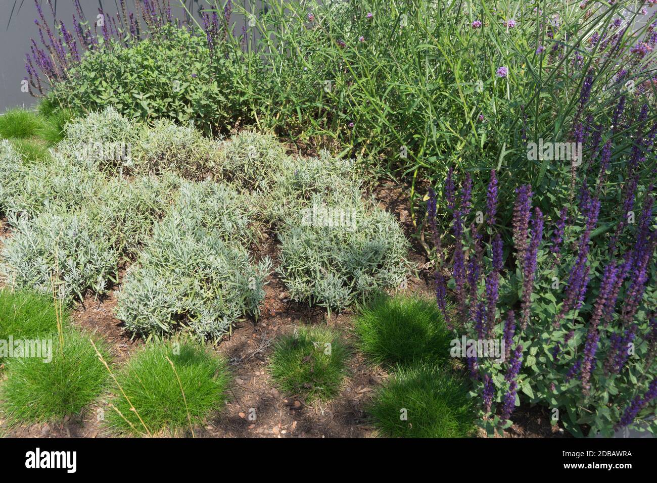 Modern garden design landscape architecture hi-res stock photography ...