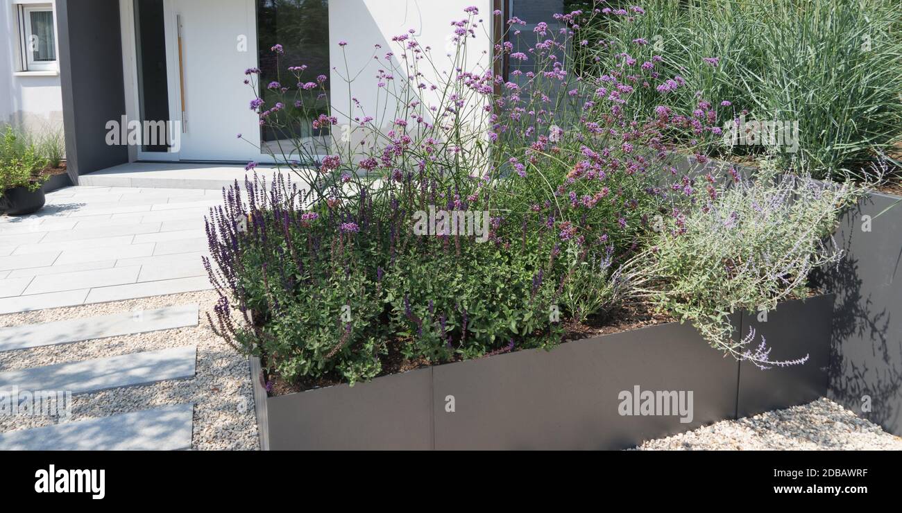 Modern garden architecture with herbs and grass Stock Photo - Alamy
