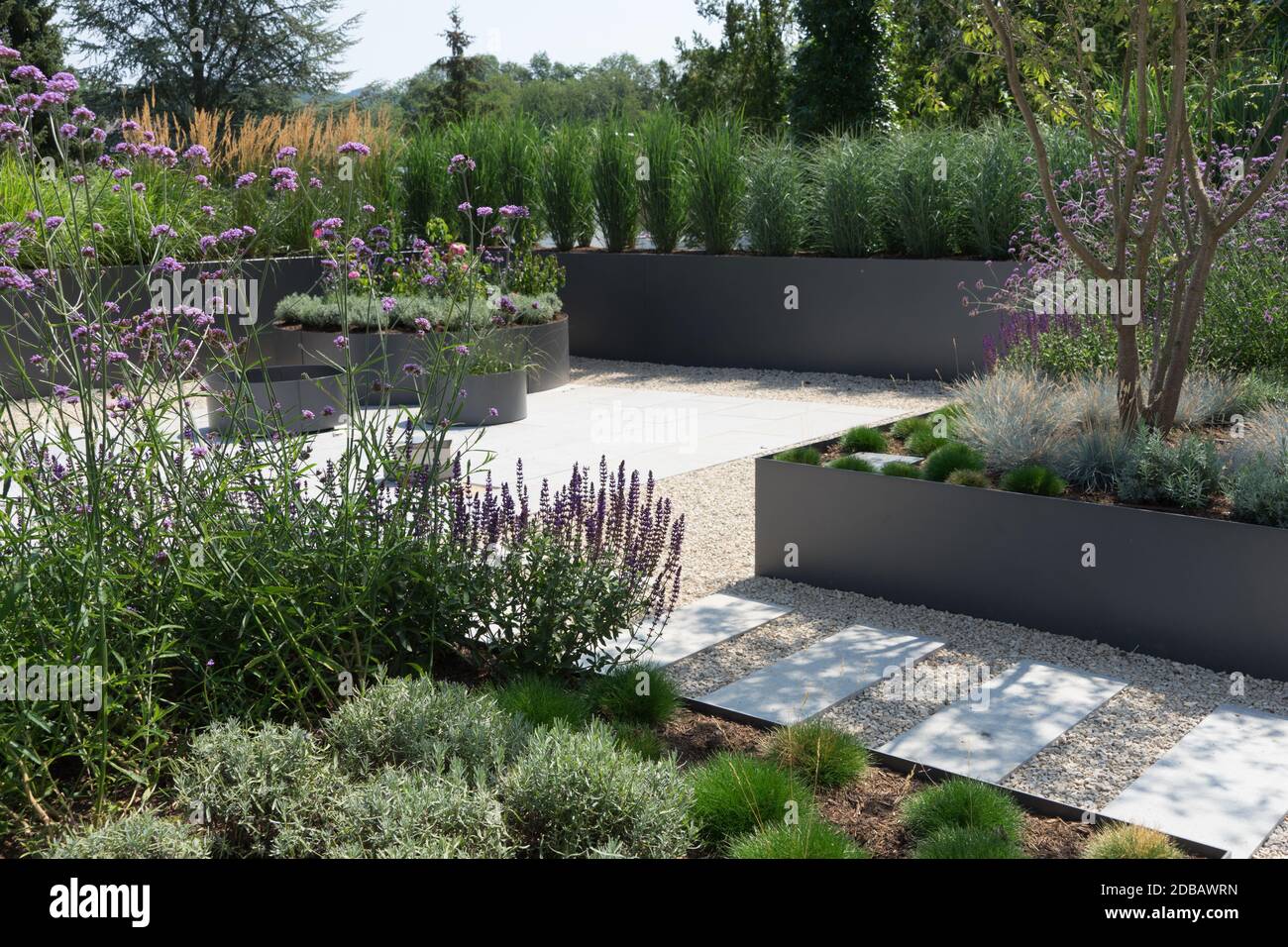 Modern garden architecture with herbs and grass Stock Photo - Alamy